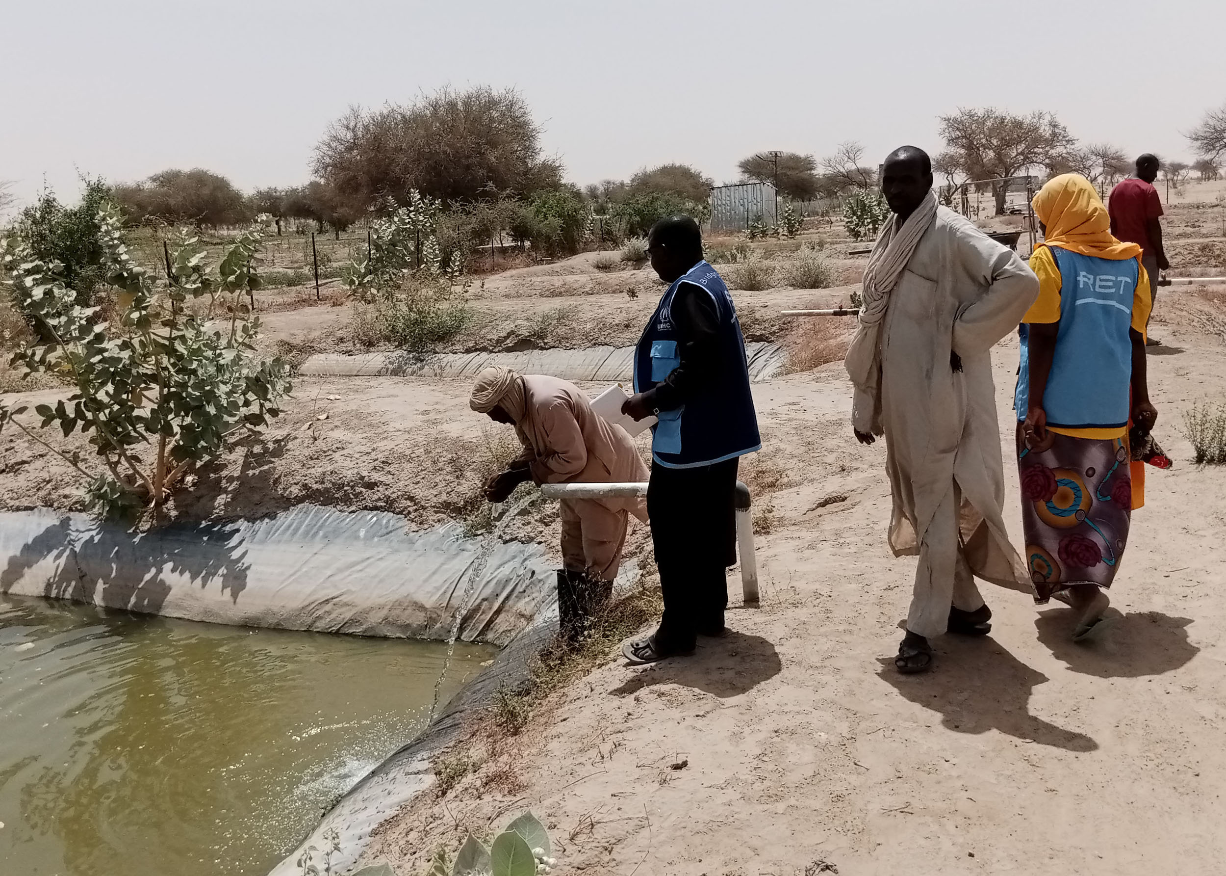 A Tale of Resilience: Adam Bello and the Revival of Fish Farming in ...