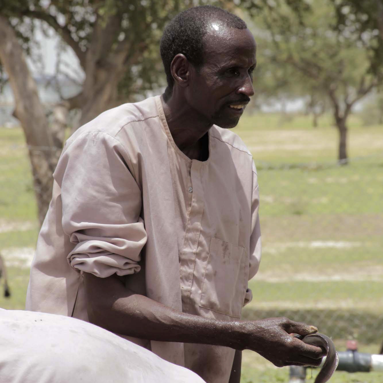 A Tale of Resilience: Adam Bello and the Revival of Fish Farming in ...